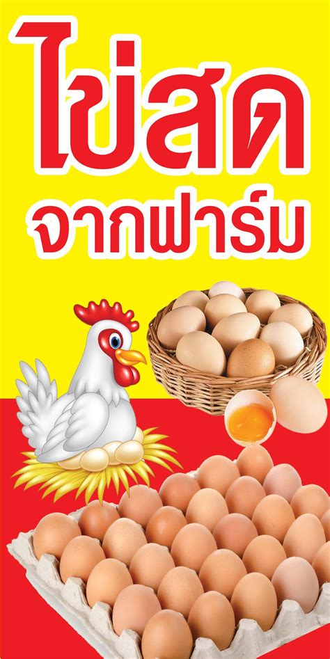 ป้ายไข่ไก่สด N208 ขนาด 50x100 ซม แนวตั้ง 1 ด้าน ตอกตาไก่ 4 มุม ป้ายไวนิล สำหรับแขวน ทนแดดทนฝน