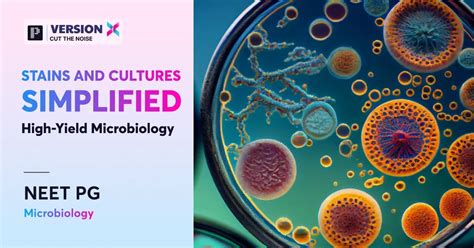 Stains And Cultures Simplified High Yield Microbiology