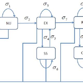 A Typical Signal Flow Graph See Online Version For Colours Download Scientific Diagram