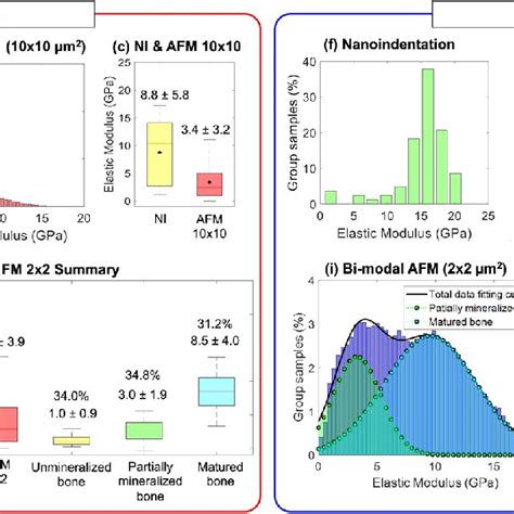Elastic Modulus Results Of The New And Old Bones Obtained In Ni And