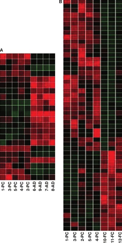 Hierarchical Clustering Based On Differentially Expressed Genes That