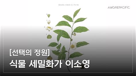 [선택의 정원] 나만의 식물 스토리 식물 세밀화가 이소영 Youtube