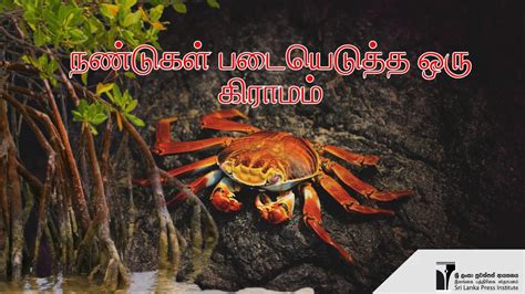 நணடகள படயடதத ஒர கரமம YouTube