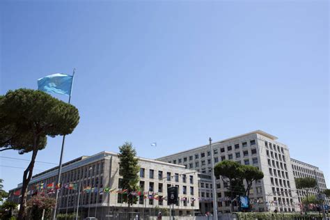 Хүнсний тогтолцооны асуудлаарх НҮБ ын дээд хэмжээний уулзалт Ром хотноо эхэлнэ Хүнсний хувьсгал