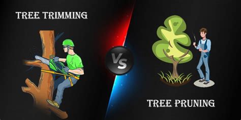 Tree Trimming Vs Tree Pruning Different Techniques
