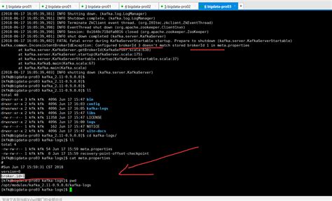 全网最详细的启动Kafka服务时出现kafka common InconsistentBrokerIdException Configured brokerId doesn t
