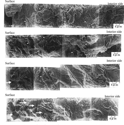 Figure 14 From Evolution Of Dislocation Structure And Fatigue Crack Behavior In Fe Si Alloys