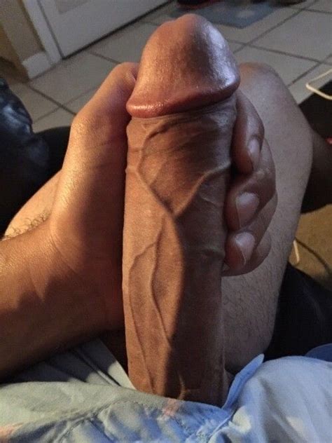 My Favorite Meal Pic