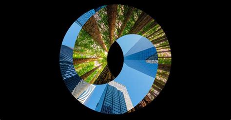 Cfd Vs Tcfd Spot The Difference Greta Labuschagne