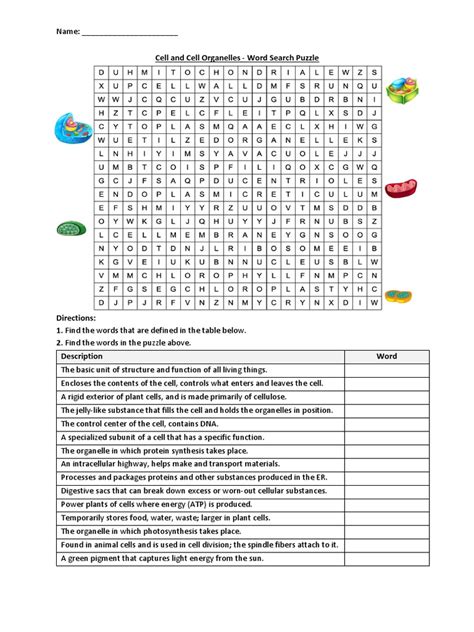 Cell And Cell Organelles Word Search Puzzle Pdf Cell Biology
