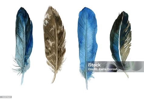 흰색 바탕에 수채화 깃털 보헤미안 스타일 흰색 바탕에 고립 된 깃털 카드 초대장 포스터 직물 옷에 대 한 그림 갈색에 대한 스톡 벡터 아트 및 기타 이미지 Istock