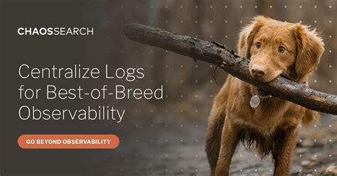 Chaossearch On Linkedin Observability Clouddataplatform