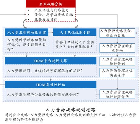 人力资源：人力资源战略规划 人力资源 中大咨询