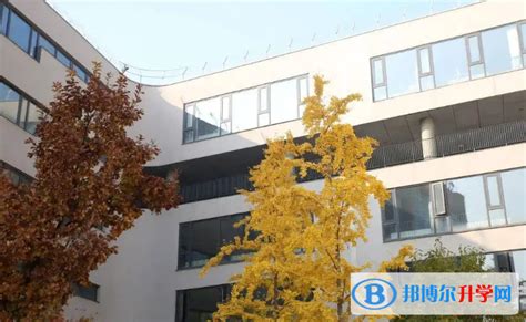 北京第四中学2025年招生代码