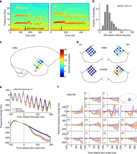 Auditory Cortical Activity Drives Feedback Dependent Vocal Control In Marmosets Pmc