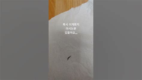 조직스토킹전파무기범죄피해 ㅡ이상한물체 Youtube