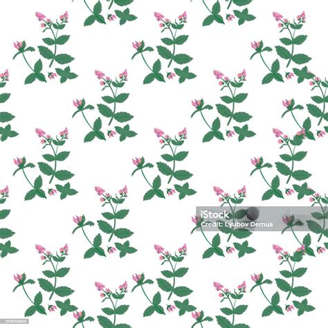 흰색 배경에 피어나는 매끄러운 패턴의 신선한 민트 잎 세트 페퍼민트 잎과 꽃 페퍼민트 잔디의 추상적 배경 벡터 그림입니다 0명에 대한 스톡 벡터 아트 및 기타 이미지