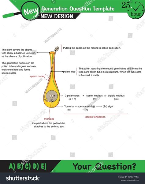 Biology Lecture Notes Plant Physiology Flower Stock Vector Royalty Free 2240277477 Shutterstock