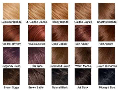 Hair Color Palette Bronze Hair Color Hair Color Chart Brown Hair