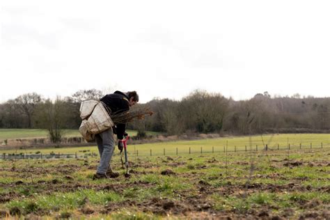 National Forest Areas Around Ashby Will Benefit From £2 4million Boost Over The Next 12 Months