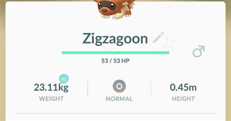 Shiny Zigzagoon Live Imgur