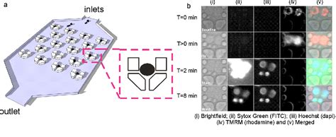 Figure 1 From Cell Chip Array For Microfluidic Proteomics Enabling