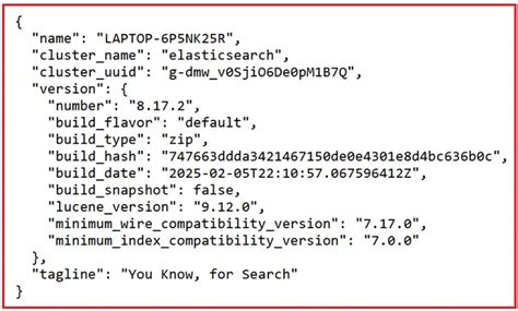 Elasticsearch In ASP NET Core Web API Dot Net Tutorials