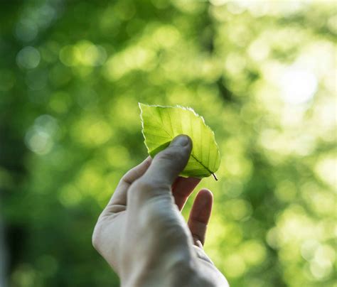 Environmental Grants Kendal Business Improvement District