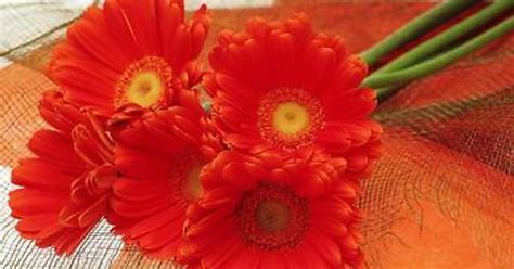 莱芜代开装修发票 Imgur