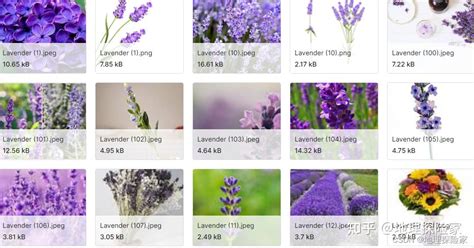 各类有关于花卉的深度学习数据集 知乎