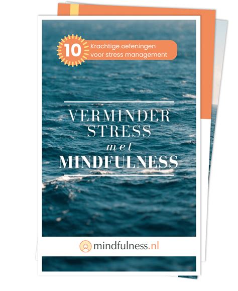Mood Meter Mindfulness Nl