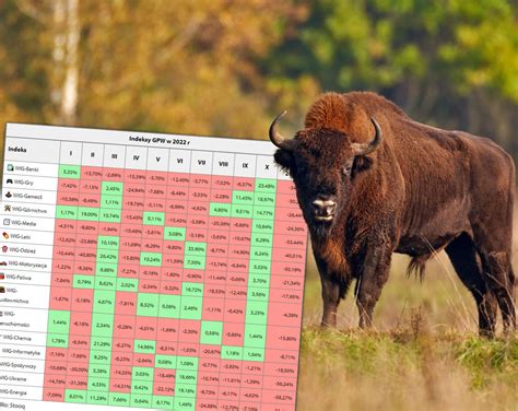 Polska Giełda „wstała Z Kolan” Wig20 W Październiku Wśród Najlepszych Analizy Sii