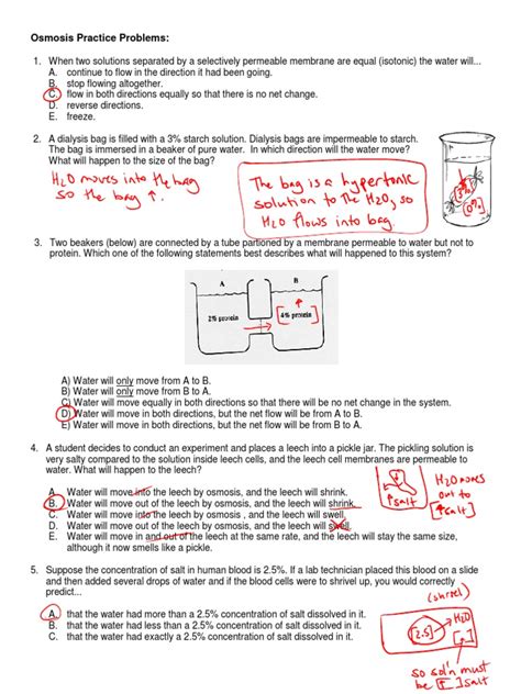 Osmosis Practice Problems A Collection Of Multiple Choice Questions Testing Understanding Of
