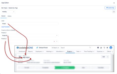 editing the details view page using inline edit codeless one