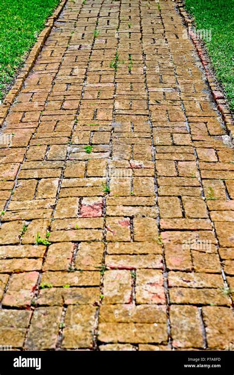 Brick Garden Grass Path Diy Cottage Garden Pathway Pea Gravel Path