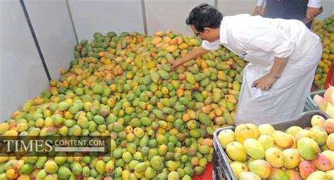 K P Mohanan Feature Photo Agriculture Minister K P Moha