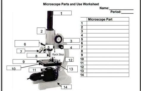 Guys Please My Homework In Science Microscope Parts And Use Worksheet Name Period Microscope