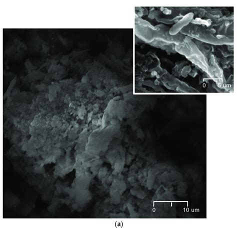 Representative X Ray Diffraction Xrd Pattern For Biologically
