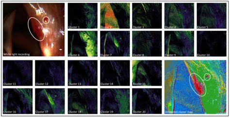 Unsupervised Clustering Of Case 1 Top Left White Light Image With Download Scientific