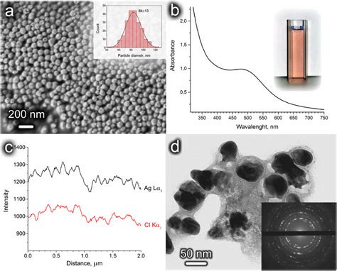 Sem Image Of Particles A Uvvisible Absorbance Spectrum B Element