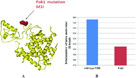 Computational Genomic Analysis Of Snp A The Position Of Snp Induced