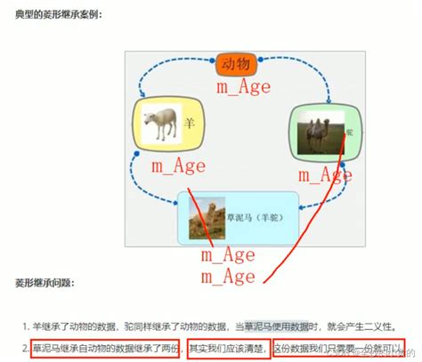 修饰构造函数的explicit与修饰析构函数的virtualexplicit修饰函数 Csdn博客