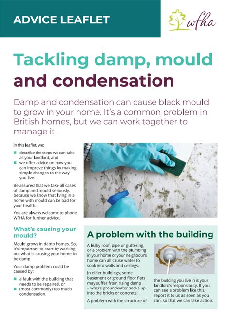 Tackling Damp Mould And Condensation Leaflet Waltham Forest Housing
