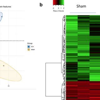 Validation Of Proteomic Analysis To Validate The Proteomic Analysis Download Scientific