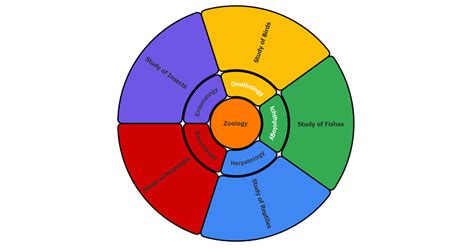 Radial Map Template Examples EdrawMind