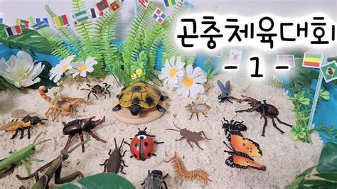 유니주니 유니부기와 곤충체육대회🐢 1👉거북이 잠자리 장수풍뎅이 귀뚜라미 개미 거미 사슴벌레 전갈 사마귀 메뚜기 바퀴벌레 나비 꿀벌 파리👈 어린이