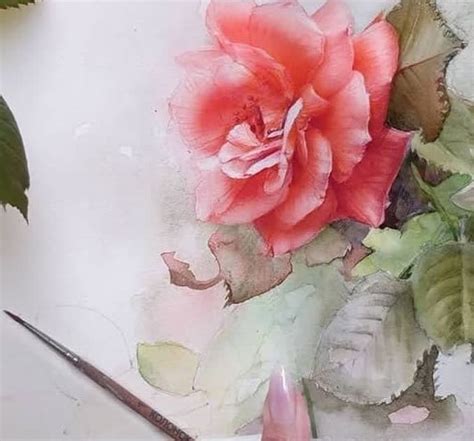 آموزش نقاشی آبرنگ تخصصی و حرفه ای