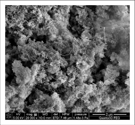 SEM Microscopy HAP Nanotubes HAP Hydroxyapatite SEM Scanning Download Scientific Diagram