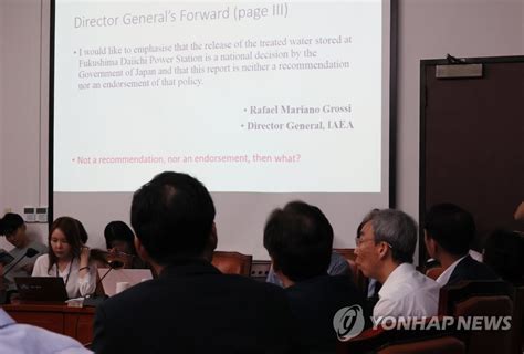 Iaea 후쿠시마 오염수 보고서 검증 민주연구원 현안긴급토론회 연합뉴스