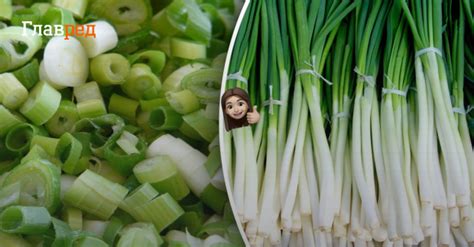 Земля і стаканчики з водою не потрібні як виростити зелену цибулю вдома Главред